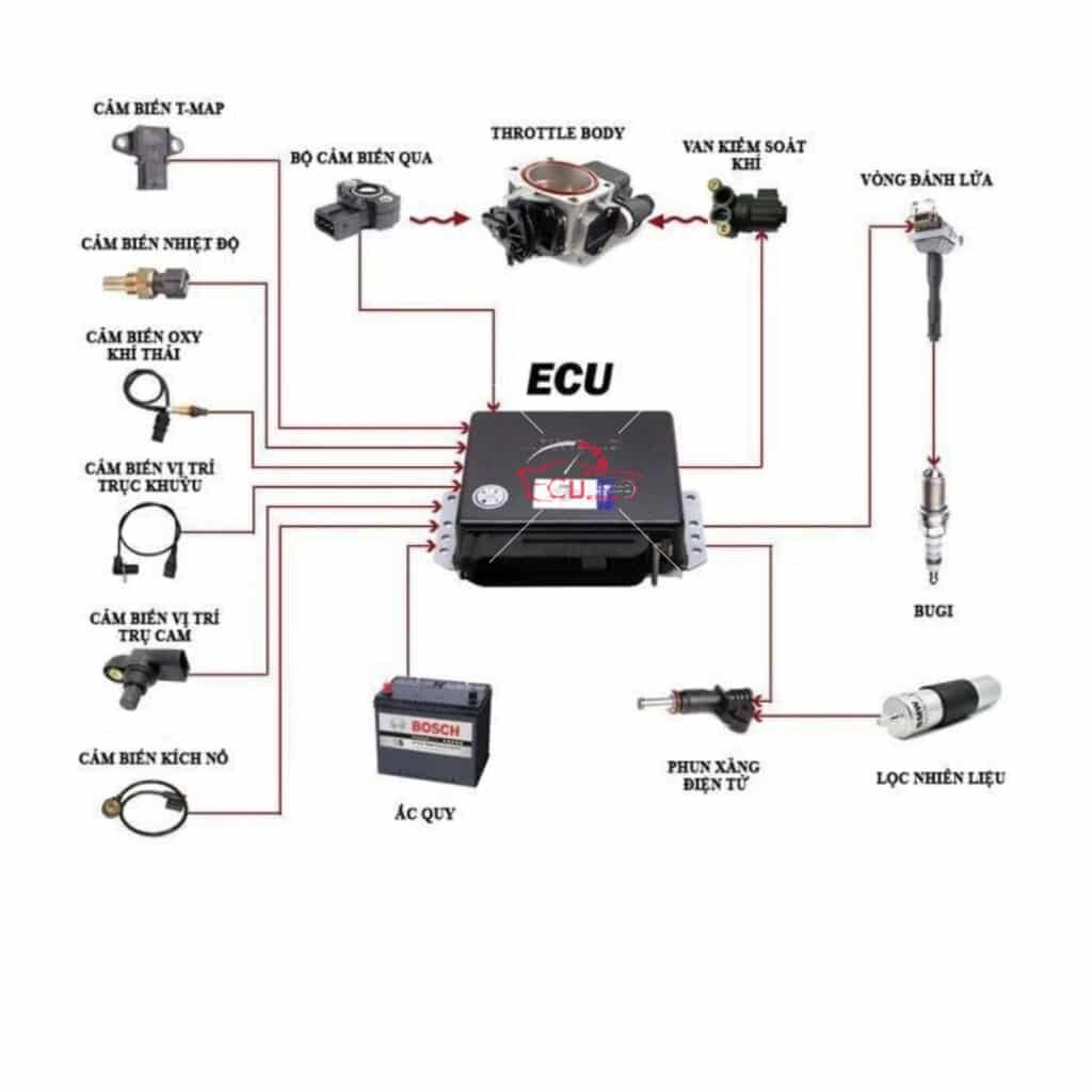 ECM LÀ GÌ? 1 SỐ SỰ KHÁC NHAU GIỮA ECM VÀ ECU LÀ GÌ